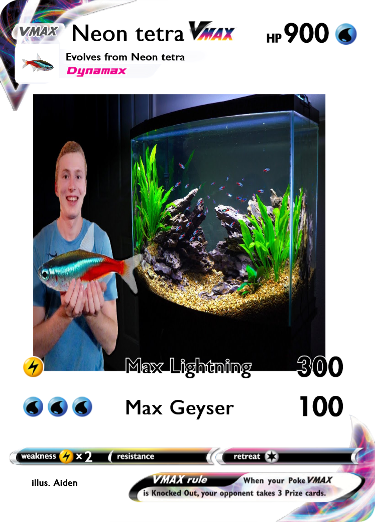 Neon Tetra Pokecardmaker